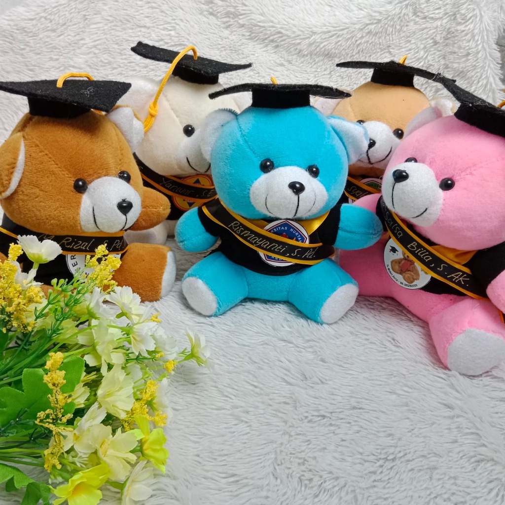 Jual BONEKA WISUDA GEMOY | HADIAH WISUDA | BONEKA POLOSAN | TEDDY BEAR ...