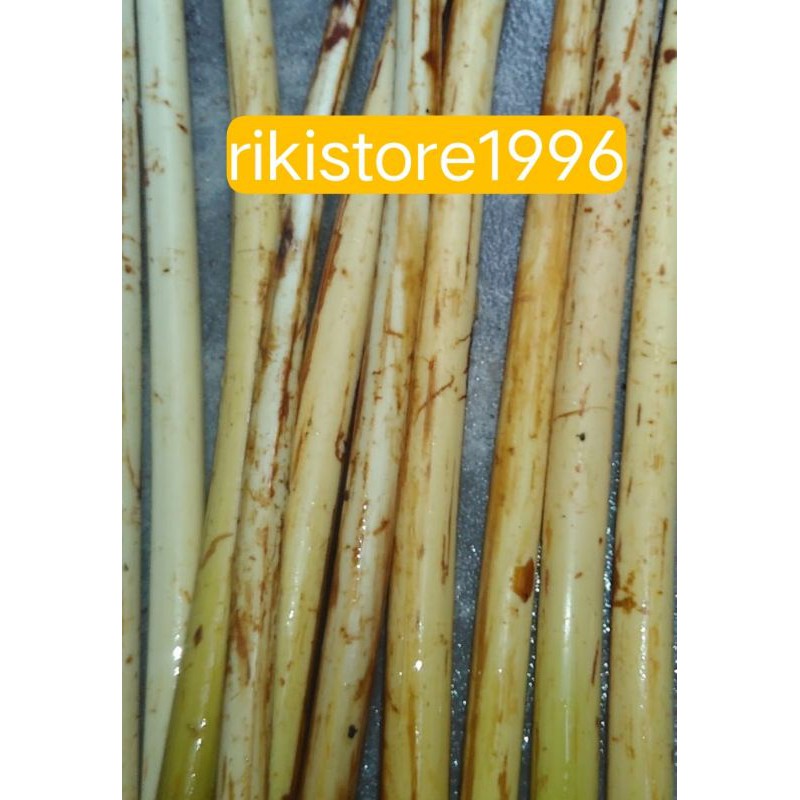 Jual jual umbut batang rotan muda / sayuran umbut rotan 500 gram ...
