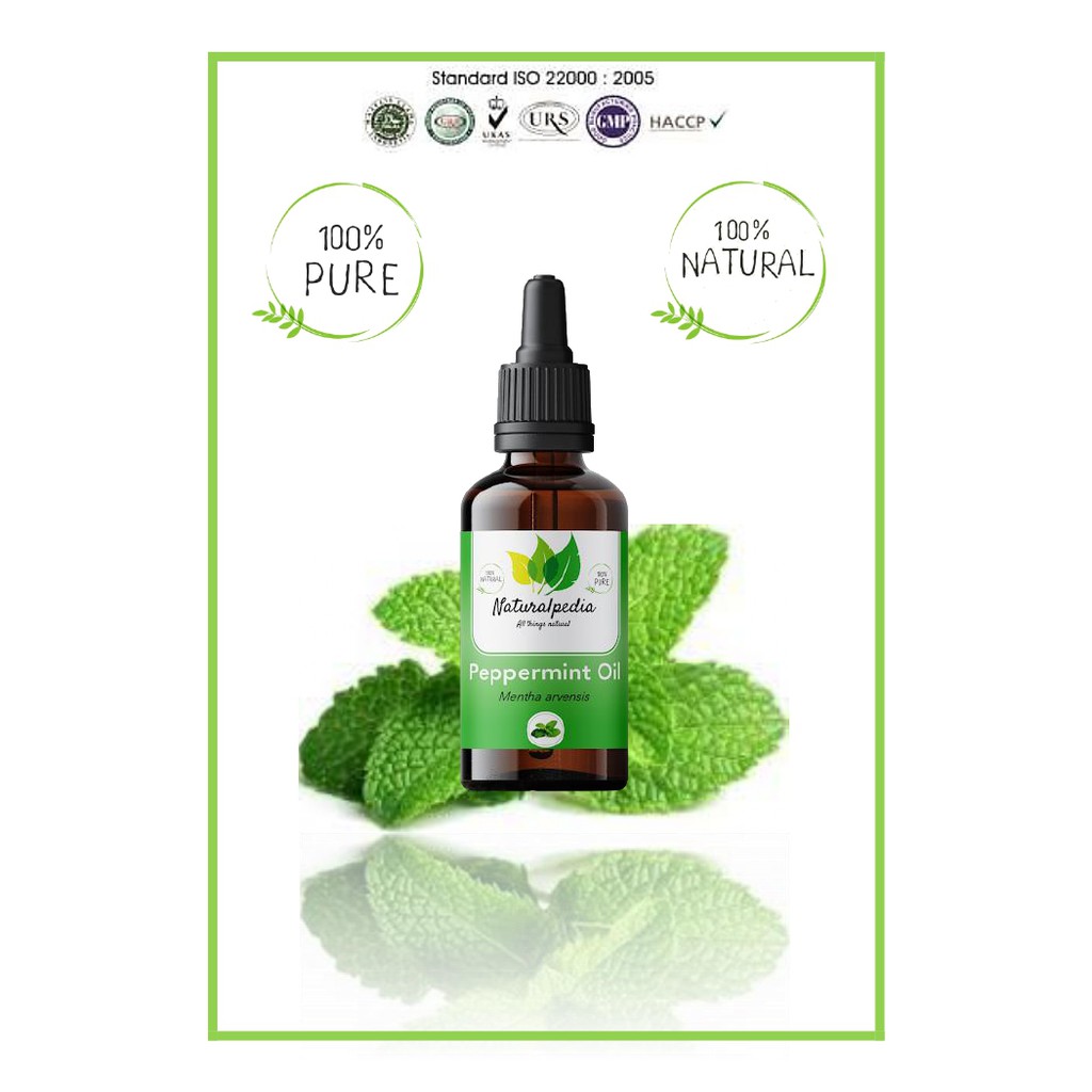 Jual Pure Peppermint Essential Oil / Minyak Esensial Atsiri Daun Mint Murni 30ml | Shopee Indonesia