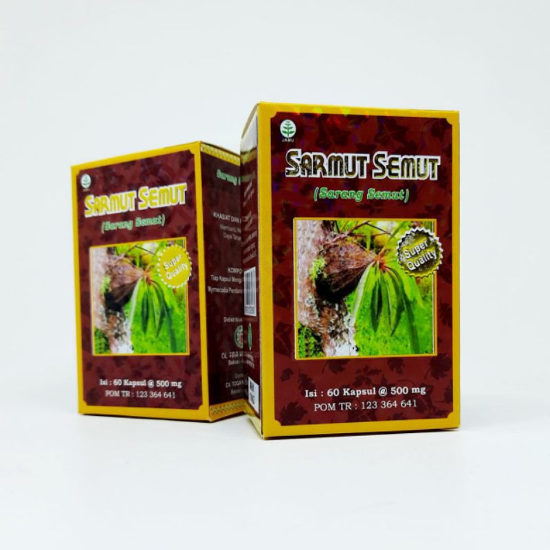 Jual Kapsul Herbal Sarmut Sarang Semut Murni | Shopee Indonesia