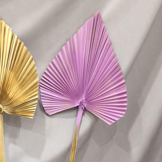 Jual Daun Palem / Palem Rustik / Daun Rustik/ Daun Palm bunga kering ...