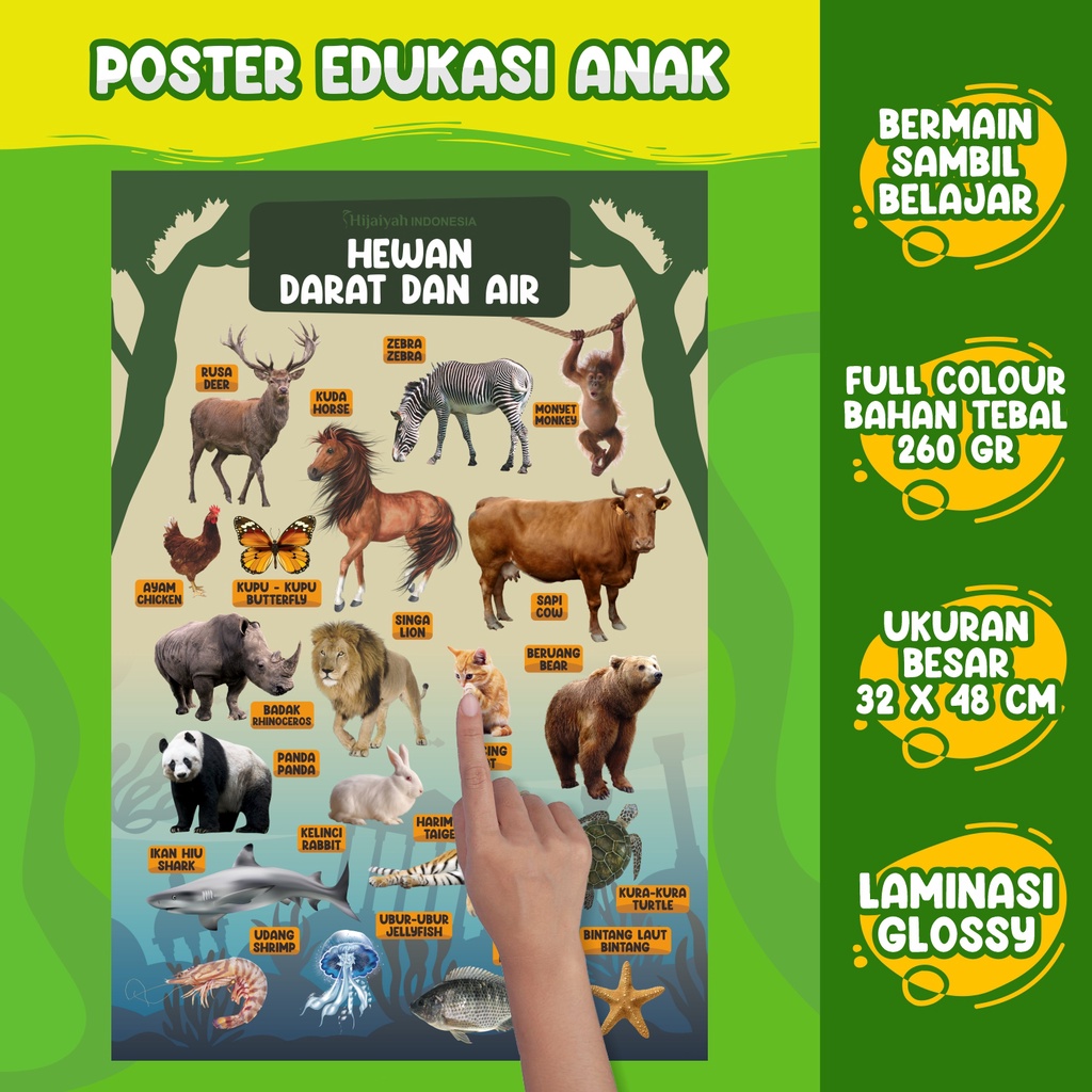 Jual Hijaiyah Poster anak, Poster edukasi, Poster Pengenalan Hewan ...