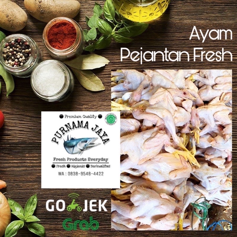 Jual ayam pejantan fresh bandung jantan | Shopee Indonesia