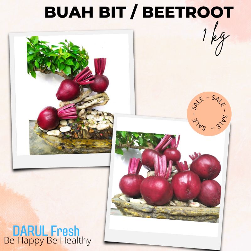 Jual Buah Bit Terlengkap & Harga Terbaru April 2026 | Shopee Indonesia