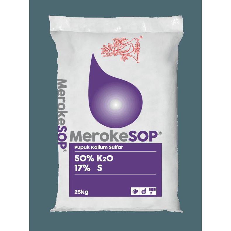 Jual Ini Meroke Sop 25 Kg - Pupuk Kalium Sulfat Hidroponik Grade Juara ...