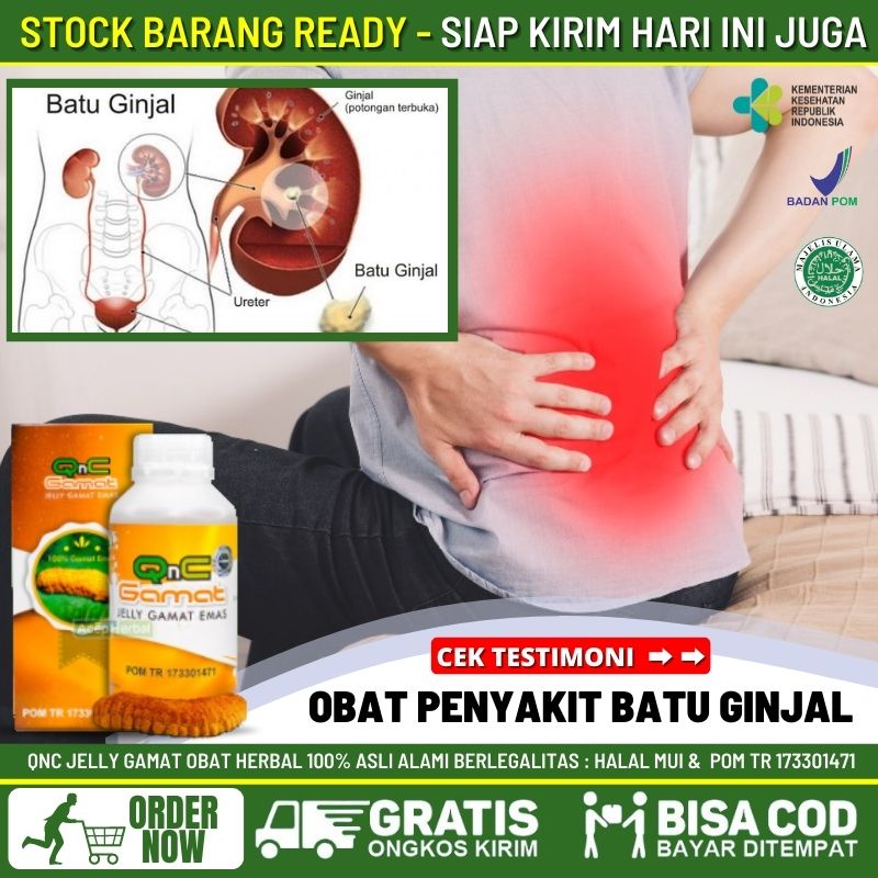 Jual Obat Herbal Batu Empedu, Obat Penghancur Batu Empedu Tanpa Ke ...