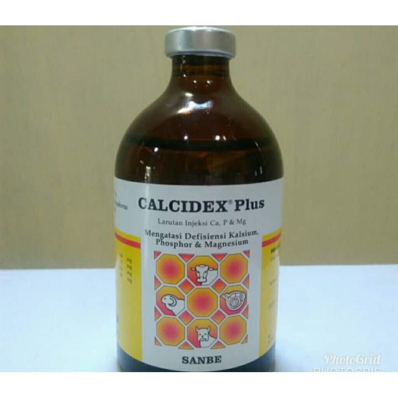 Jual Calcidex plus inj 100ml Sanbe( Atasi Sapi ,Kambing Lumpuh ...