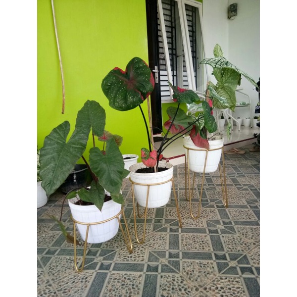Jual Standing vas besi/standing pot/tempat vas/tempat bunga | Shopee ...