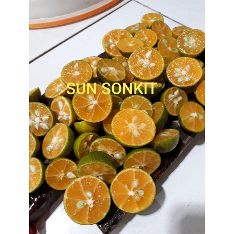 Jual JERUK KASTURI 1KG / JERUK KUNCI / LEMON CUI / JERUK KALAMANSI ...