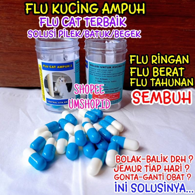 Jual Flu Kucing Ampuh Paten Flu Care Kucing Flu Paten Flu Cat Virus ...