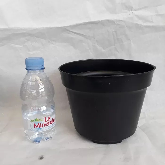 Jual pot 20 botani, pot hitam murah kualitas premium, tebal | Shopee ...