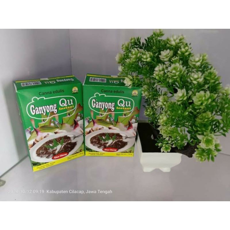 Jual TEPUNG GANYONG SIAP SAJI/PATI GANYONG CANNA EDULIS | Shopee Indonesia