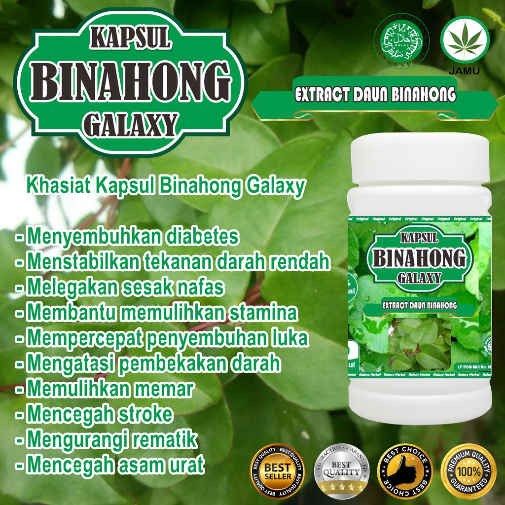 Jual Kapsul Binahong GALAXY PREMIUM 50Kapsul ORIGINAL 100% Kapsul Daun Binahong BERGARANSI ...