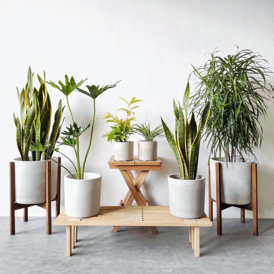 Jual FREE ONGKIR | TROPICAL Indoor Jungle Set | Paket Pot Bunga Pot ...