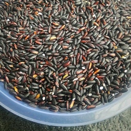 Jual Beras Ketan 1 Kg Harga Terlengkap & Harga Terbaru Juni 2026 ...