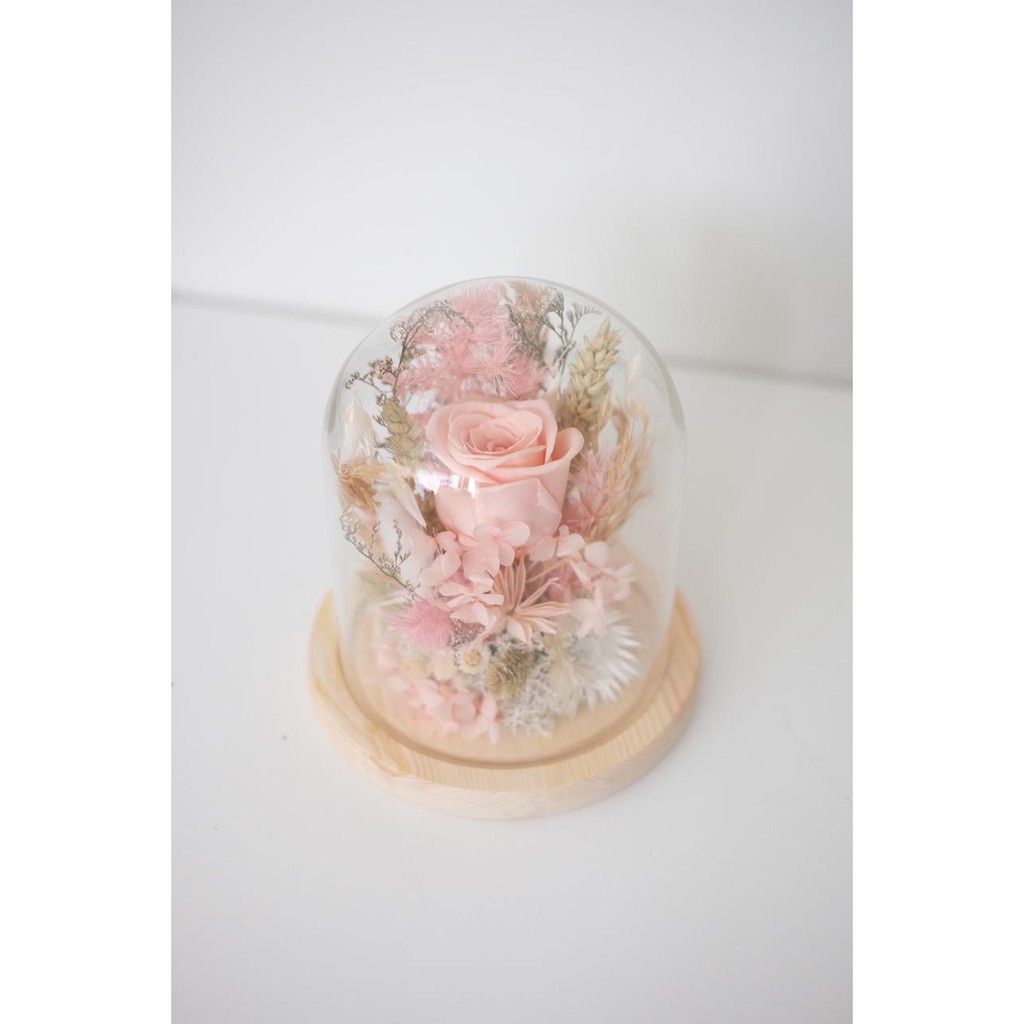 Jual Single Rose Dome - ROSE FLOWER DOME VALENTINE FLOWER GIFT ROSE ...