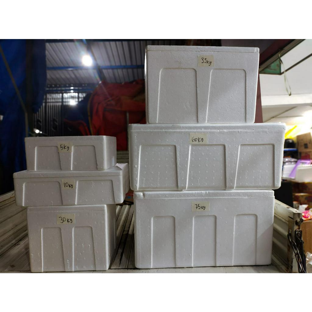 Jual Styrofoam Box 10 Kg / Kotak Stereofoam Foam Sterofoam | Shopee ...