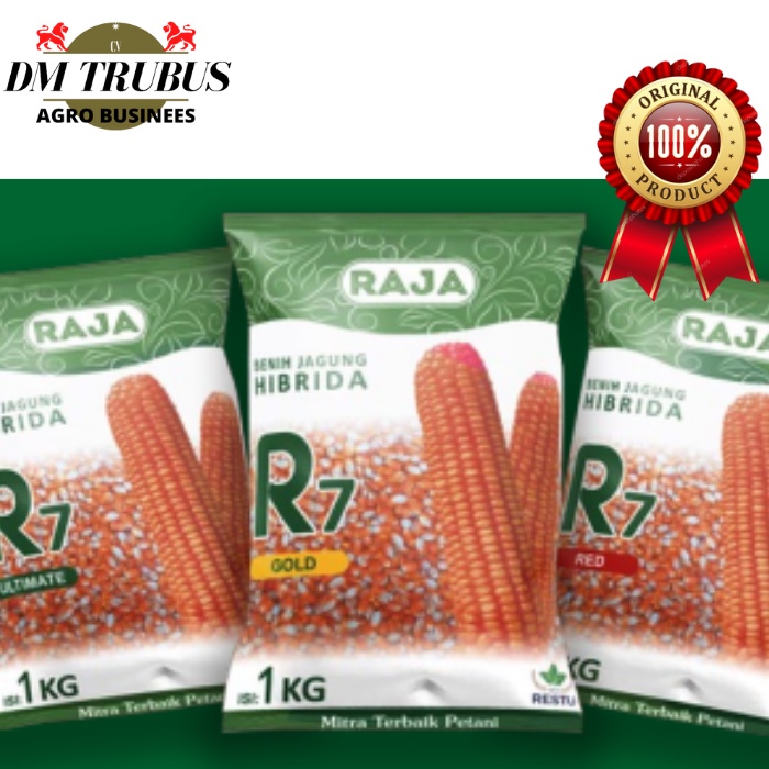 Jual R7 benih jagung hibrida 1kg Raja | Shopee Indonesia