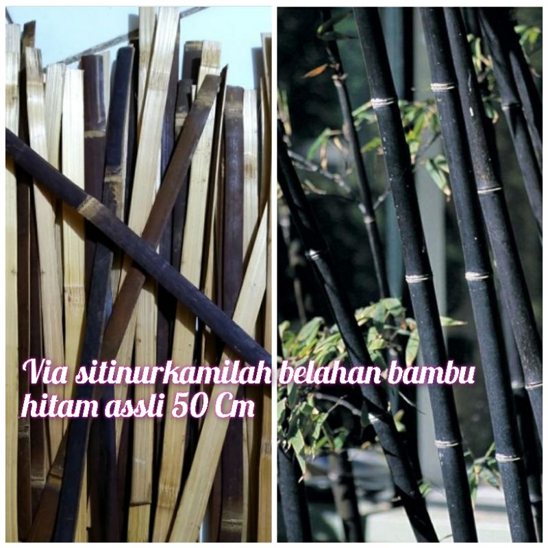 Jual BELAHAN BAMBU HITAM ASLLI 50cm | Shopee Indonesia