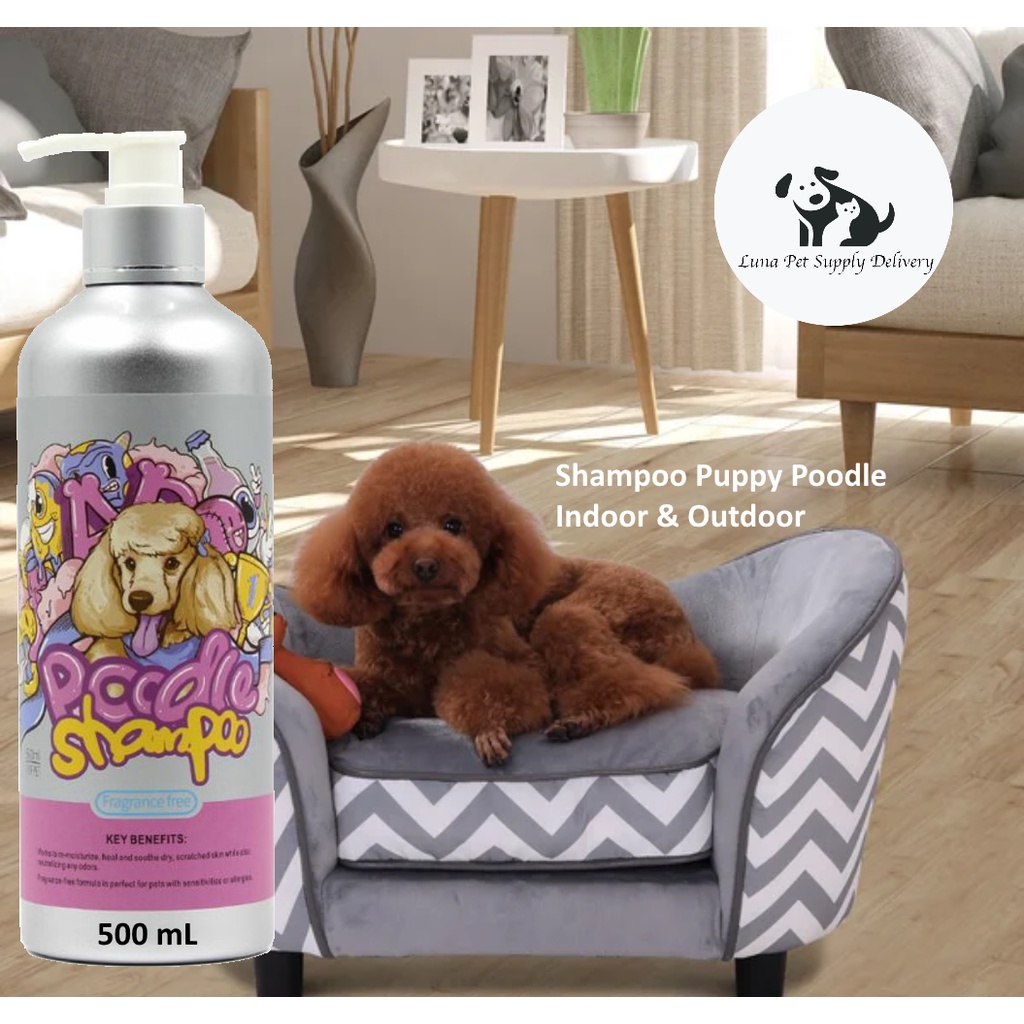 Jual Dog Shampoo 6K Fragrance Free Poodle 500ml untuk Anjing Poodle ...