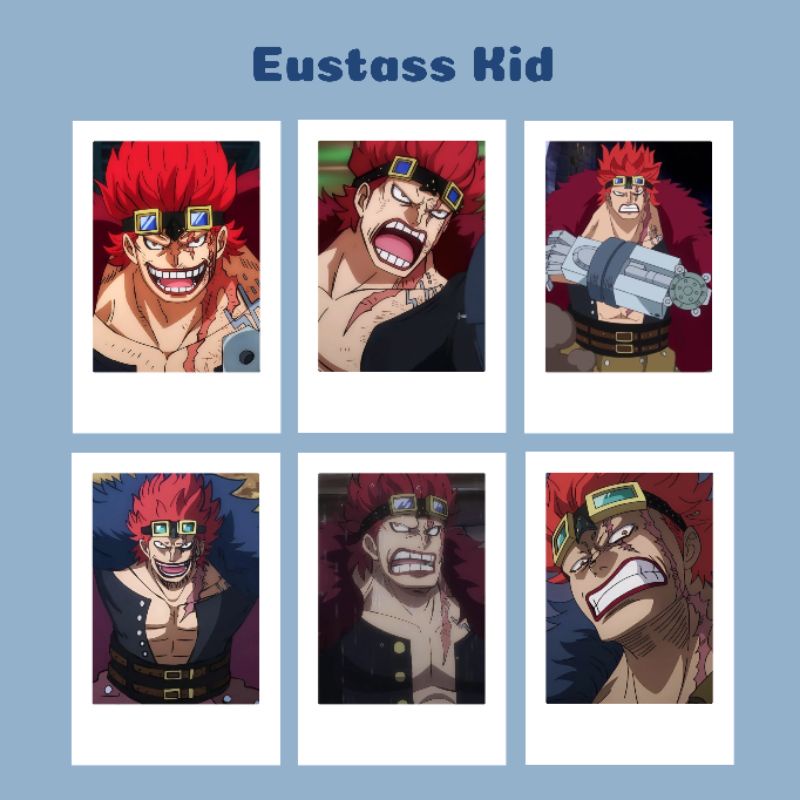 Jual Polaroid Anime One Piece Luffy Zoro Sanji Nami Nico Robin ace ...