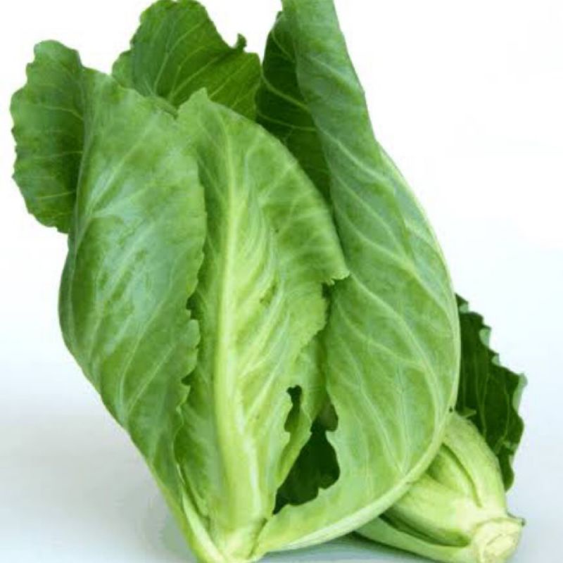 Jual CERIWIS PER IKAT | Shopee Indonesia