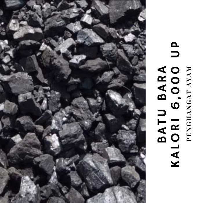 Jual Ayam-Kandang- Batu Bara Kiloan Kalori 6300 Up -Penghangat Ayam -Kandang-Ayam. | Shopee ...