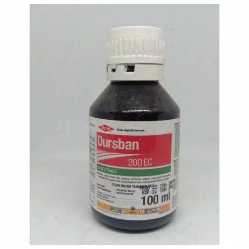 Jual insektisida dursban 100ml | Shopee Indonesia