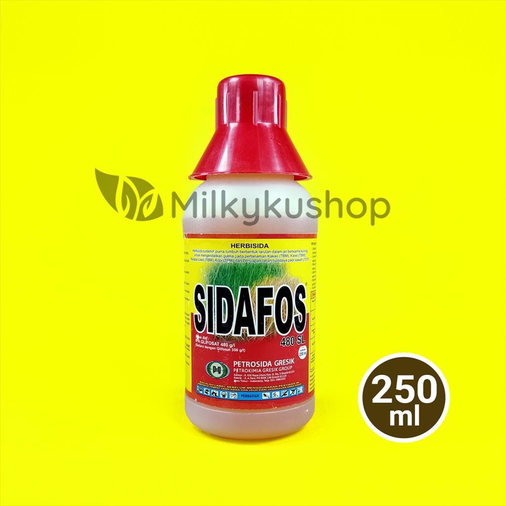 Jual SIDAFOS 480 SL ISI 250 ML HERBISIDA | Shopee Indonesia