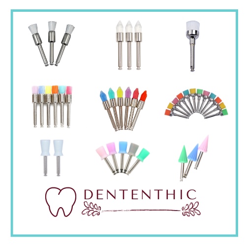 Jual Dental Nylon Polishing Brush Gigi / Bur Poles Gigi / Dental Prophy ...