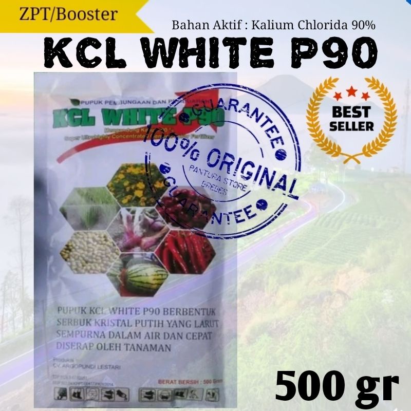 Jual KCL WHITE P90 (Original) - 500 gram (Booster) Perangsang Buah ...