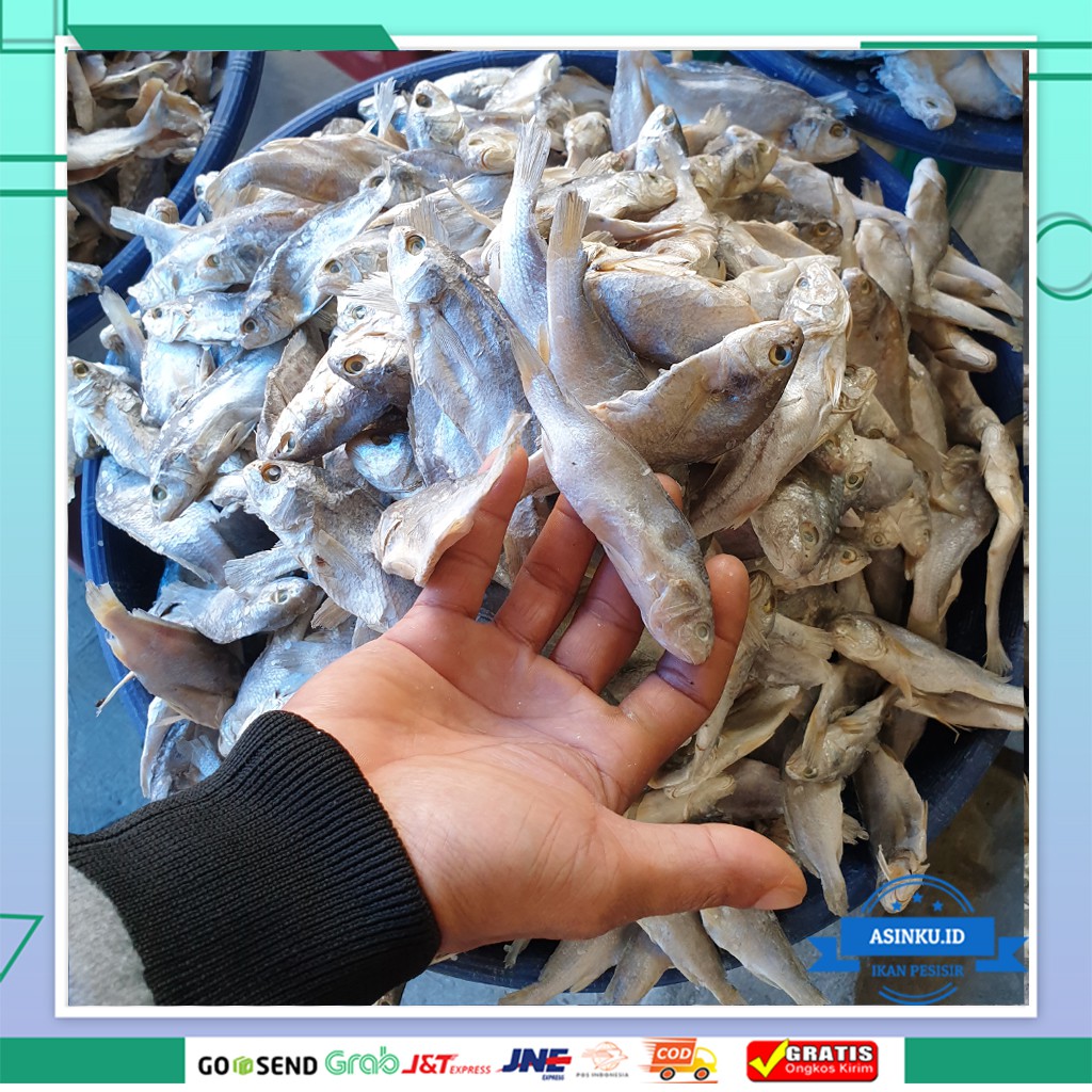 Jual IKAN ASIN GELAMA PISANG 1KG | IKAN ASIN GELAMA | IKAN ASIN SAMGE 1 ...