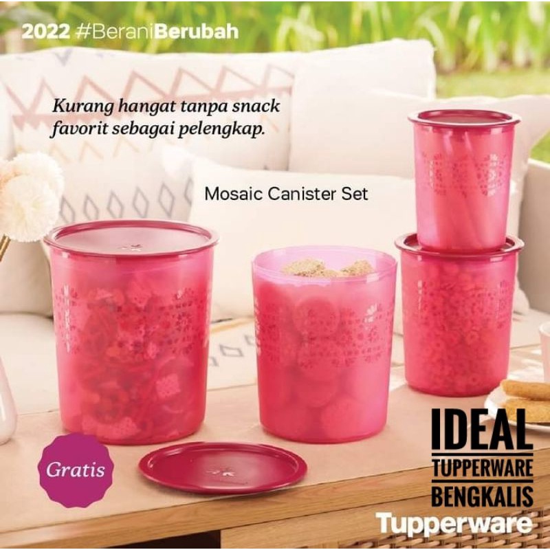 Jual Toples TUPPERWARE - Raya Mosaic Canister (4pcs) | Shopee Indonesia