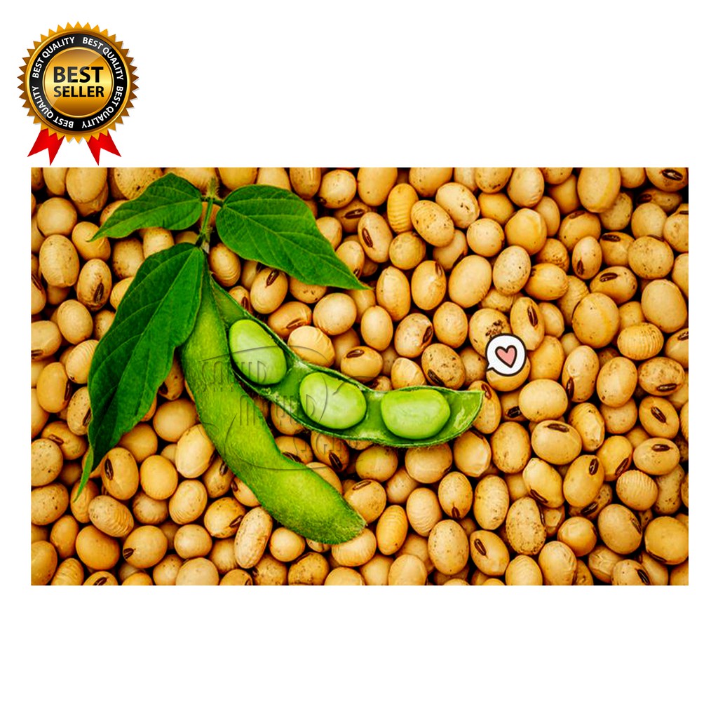Jual KIRIM INSTAN KACANG KEDELAI SEGAR / KACANG KEDELAI (SAYUR CURAH ...