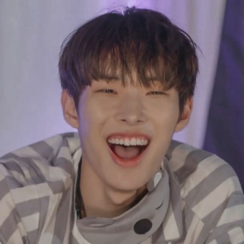 Jual Sticky Notes Pangeran Kucing | Shopee Indonesia