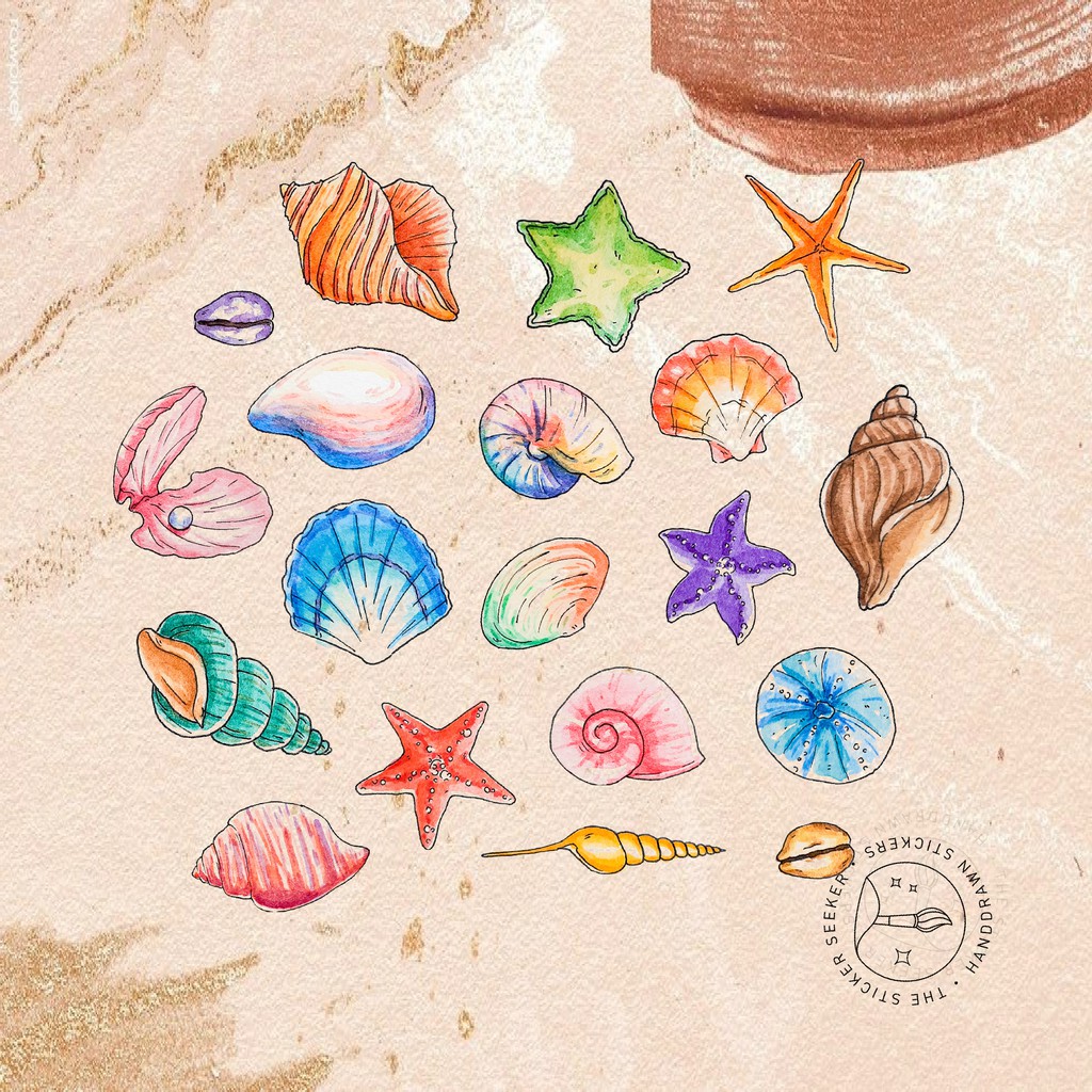 Jual Seashells and Stars Vinyl Sticker Pack | Shopee Indonesia