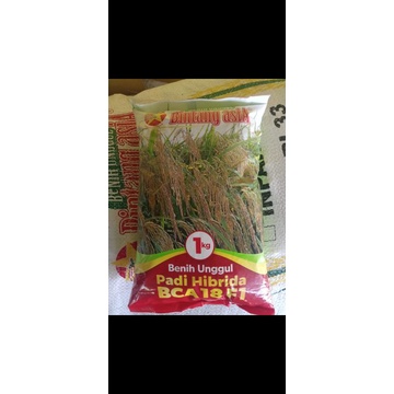 Jual benih padi hibrida BCA 18 F1 | Shopee Indonesia