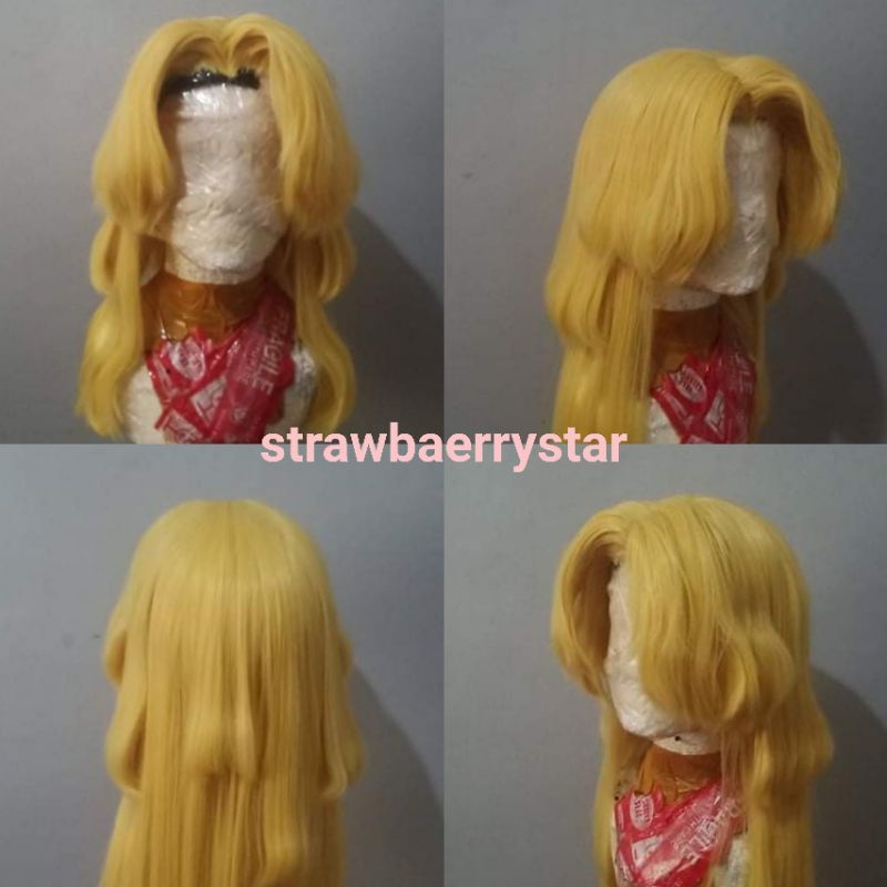 Jual wig cosplay inui seishu inupi rambut panjang long ver timeskip ...