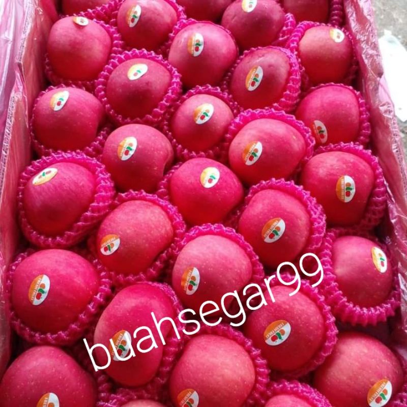 Jual apel fuji premium manis fresh 1kg | Shopee Indonesia