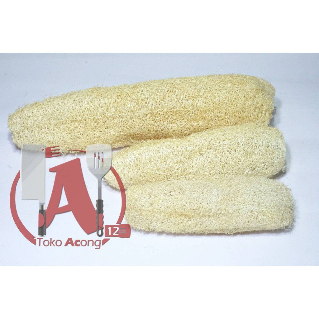 Jual Sikat Cuci Piring / Oyong Kering Grade A / Gambas Loofah Luffa ...