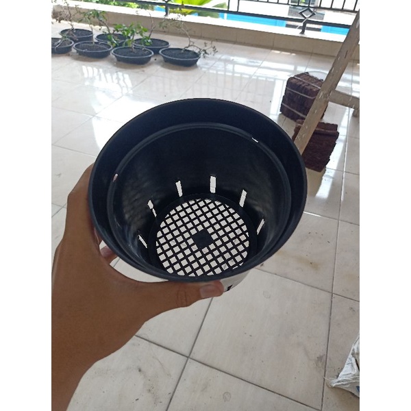 Jual POT ANGGREK 20 GBL - POROS RONGGA | Shopee Indonesia