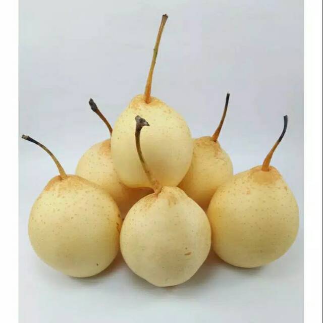 Jual Pir Madu 1kg | Shopee Indonesia