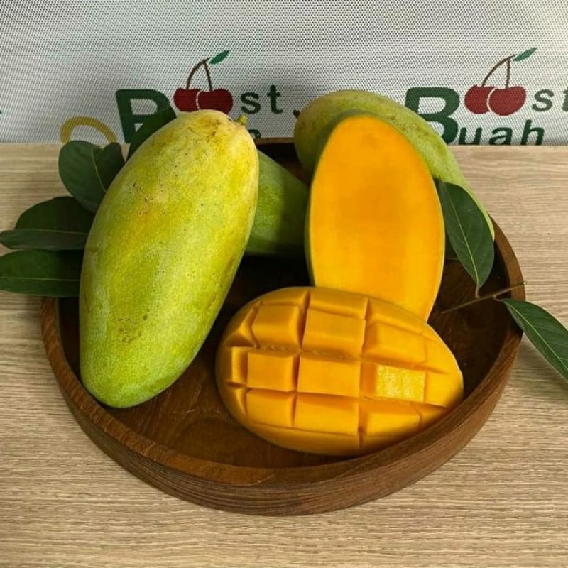 Jual buah mangga golek fresh 1 kg | Shopee Indonesia