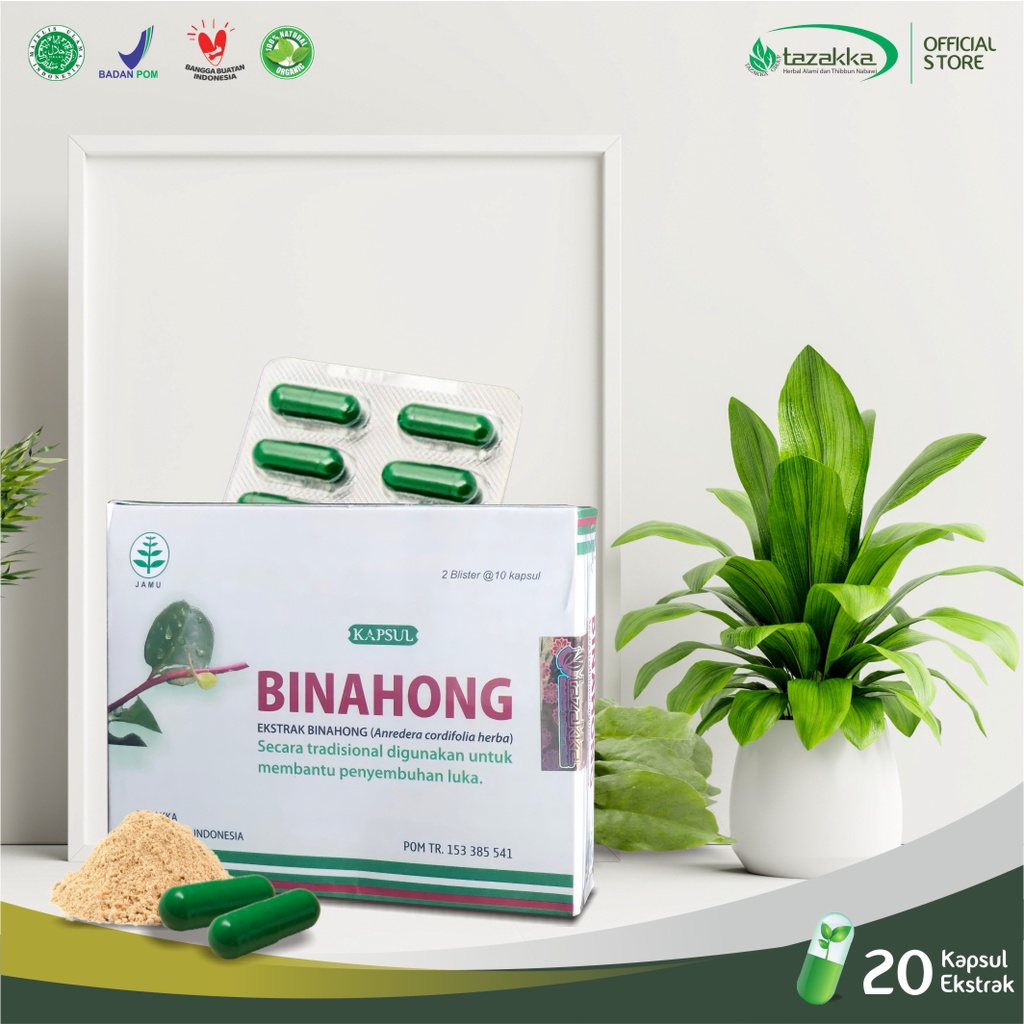 Jual Kapsul Ekstrak Daun Binahong Kemasan Blister Isi 20 Kapsul | Herbal Tazakka | Original ...