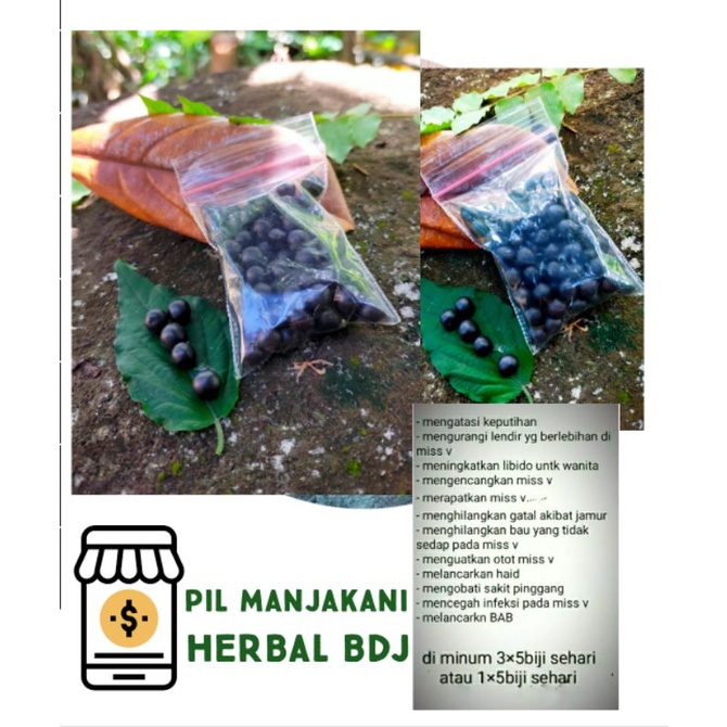 Jual Pil manjakani bujang dayak kalimantan | Shopee Indonesia