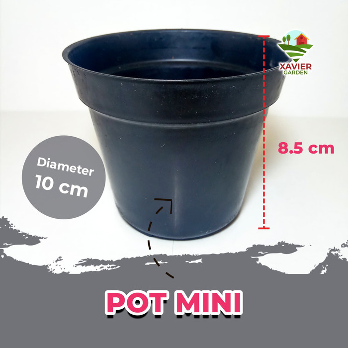Jual POT MINI HITAM DIAMETER 10CM | Shopee Indonesia