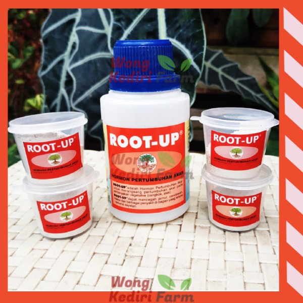 Jual Perangsang Akar Stek Cangkok ZPT ROOT-UP / GROW TONE 10gr Kemasan ...