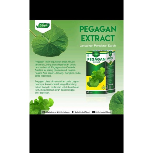 Jual Kapsul pegagan /kapsul ekstrak pegagan syifa isi 60 kapsul (ORIJINAL) | Shopee Indonesia