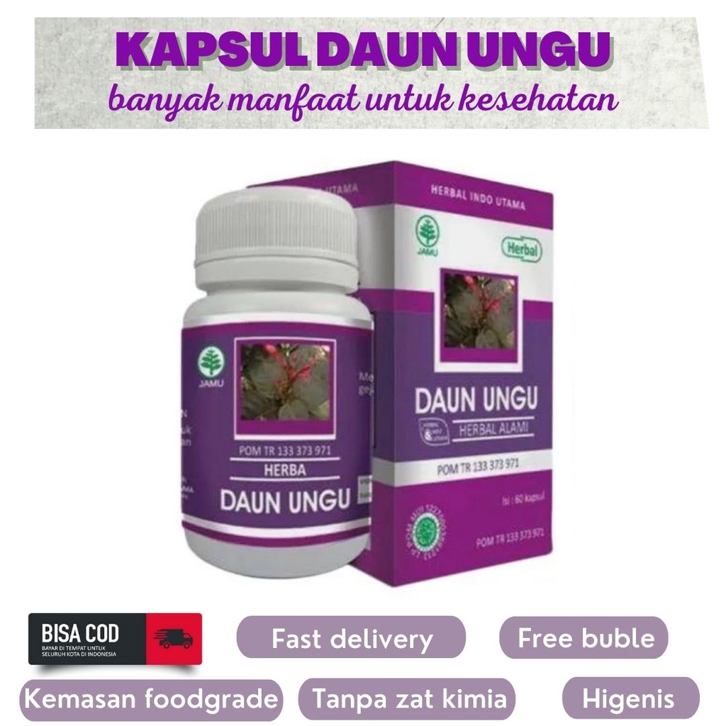 Jual daun ungu kapsul | Shopee Indonesia