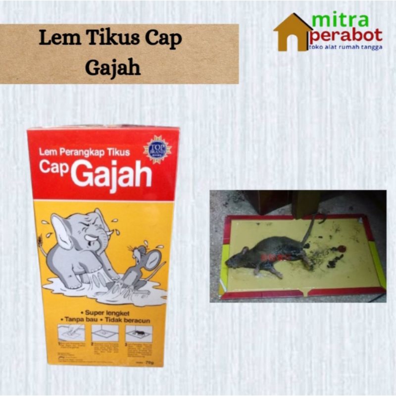 Jual LEM TIKUS CAP GAJAH PERANGKAP TIKUS JEBAKAN TIKUS | Shopee Indonesia